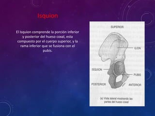 clase final | PPTX