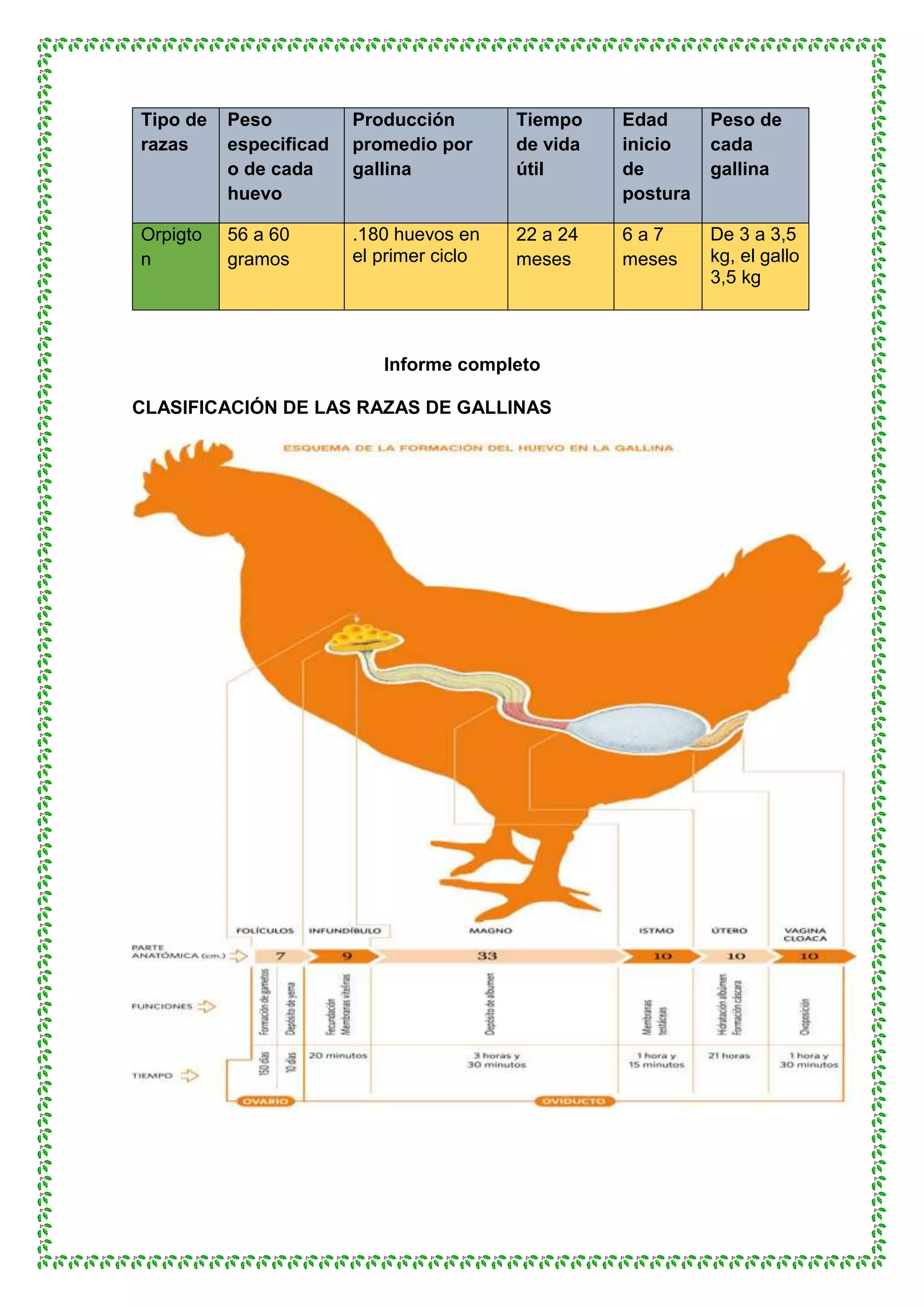 Tipos De Gallinas Ponedoras De Huevos Criando Gallinas Ponedoras