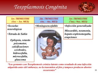 Módulo V, Tema 15: Toxoplasmosis | PDF