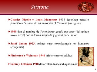 Módulo V, Tema 15: Toxoplasmosis | PDF
