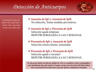 Módulo V, Tema 15: Toxoplasmosis | PDF