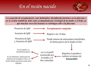 Módulo V, Tema 15: Toxoplasmosis | PDF