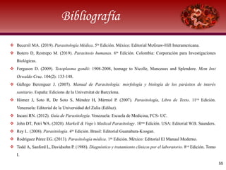 Módulo V, Tema 15: Toxoplasmosis | PDF