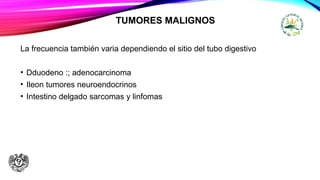 CLASE TUMORES DE INTESTINO DELGADO (1).pptx