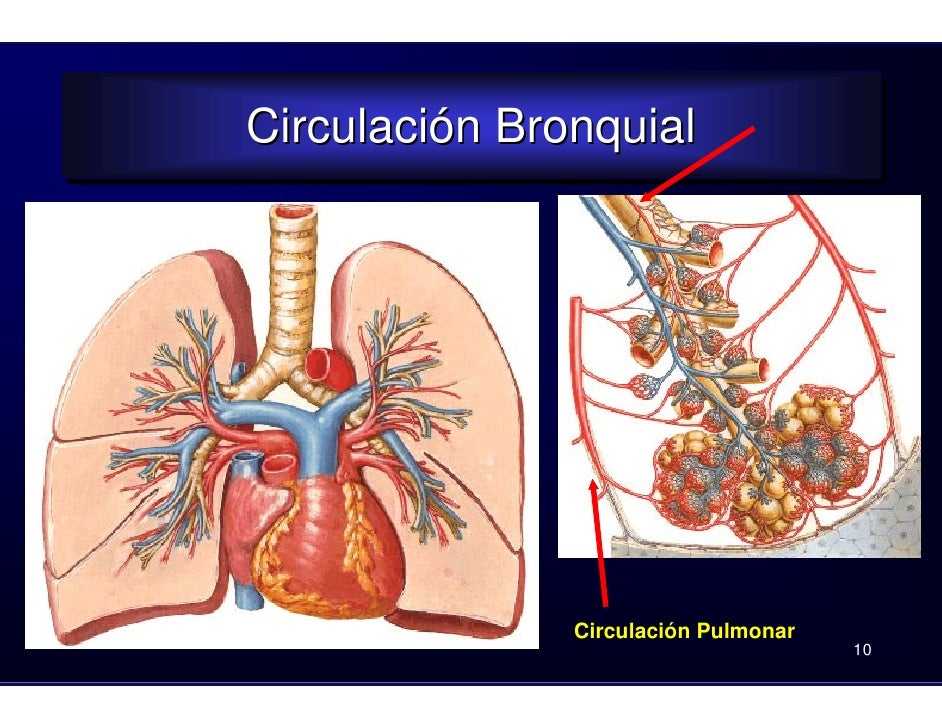 Clase viaaerea medpost