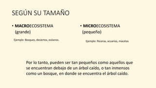 CLASIF. ECOSISTEMAS.pptx