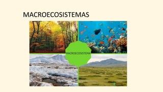 CLASIF. ECOSISTEMAS.pptx