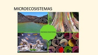 CLASIF. ECOSISTEMAS.pptx