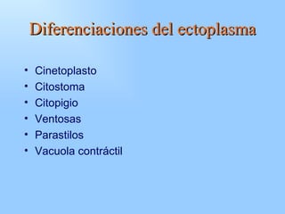 Clasificacion protozoarios | PPT