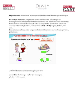 Clasificación-de-las-bacterias-por-su-morfología.pdf