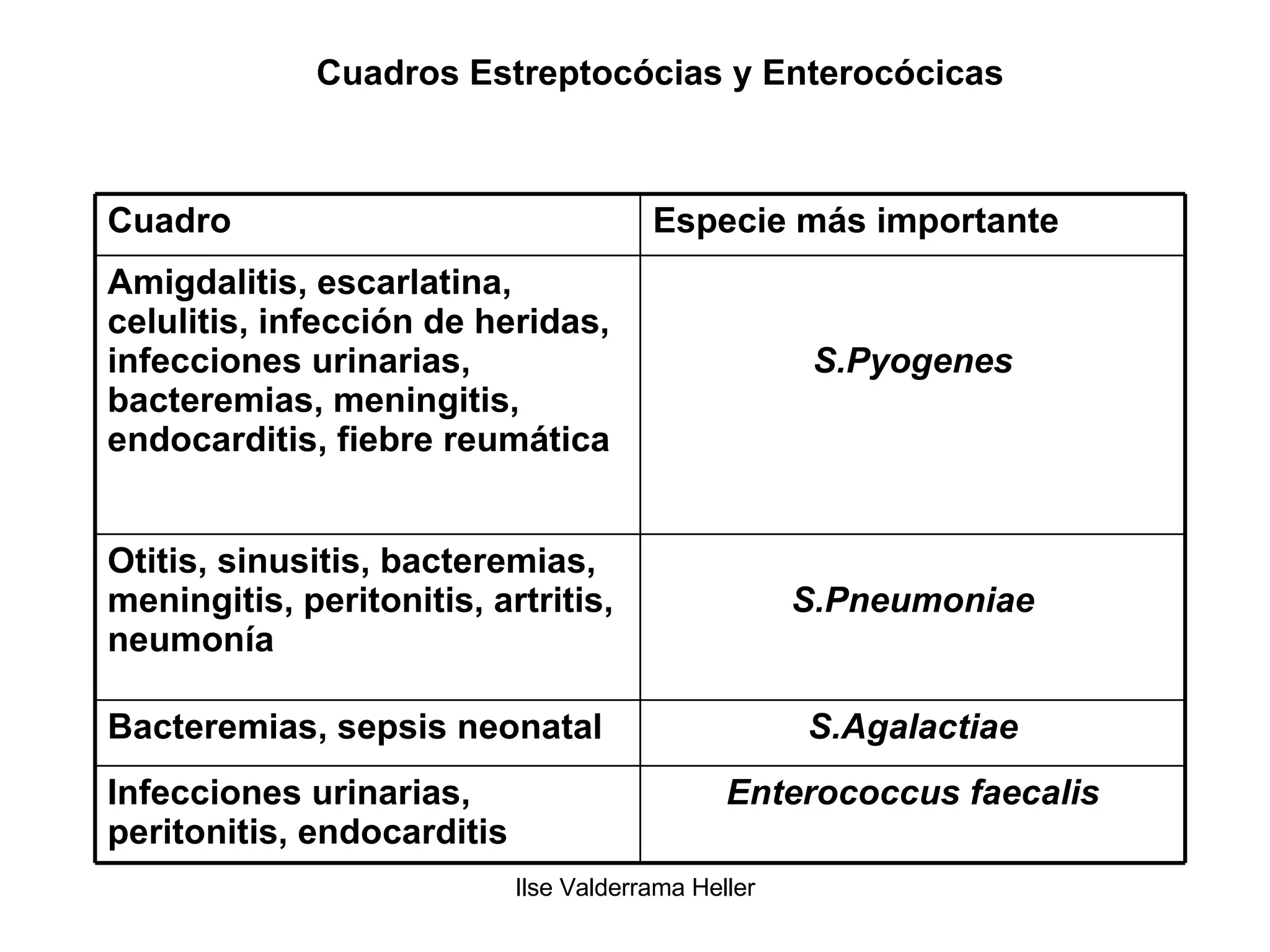 Clasificacion Streptococcus Ilse Valderrama | PPT | Infectious Diseases ...