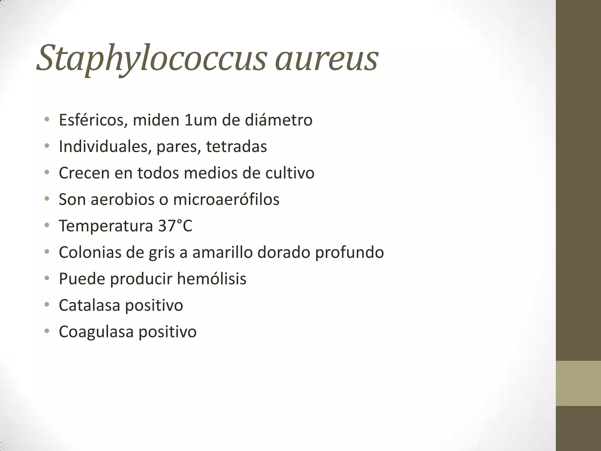 Clasificación bacteriana | PPTX | Infectious Diseases | Diseases and ...
