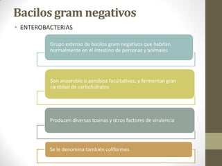 Clasificación bacteriana | PPTX