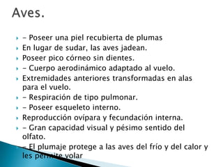 Clasificación de animales | PPTX