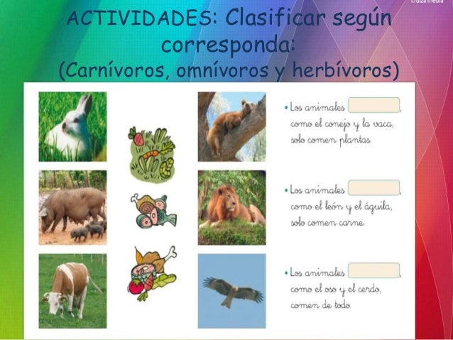 Dibujos De Animales Carnivoros Herviboros Omnivoros