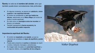 Clasificación de biodiversidad MAPUCHES.pptx