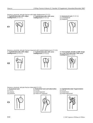 Clasificación de fracturas y luxaciones AO 2007 | PDF