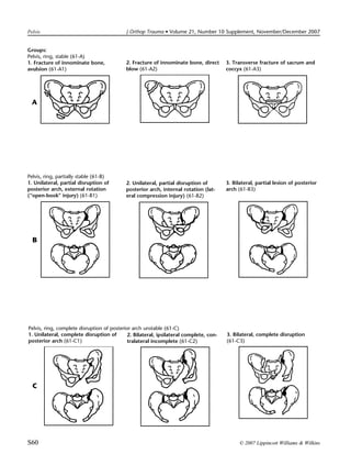 Clasificación de fracturas y luxaciones AO 2007 | PDF