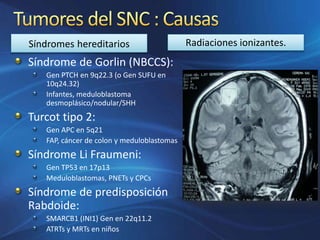 Clasificación de la oms de tumores del sistema nervioso central en ...