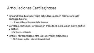 Clasificación de las Articulaciones.pptx