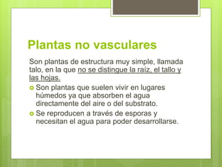 Clasificación de las plantas | PPTX