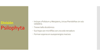 Clasificación de las plantas | PPTX