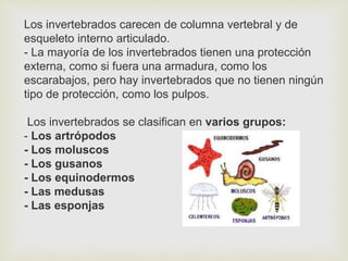 Clasificación de los animales | PPTX