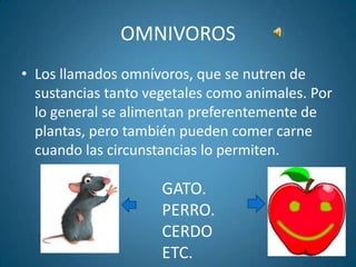 Clasificación de los animales según lo que comen | PPTX