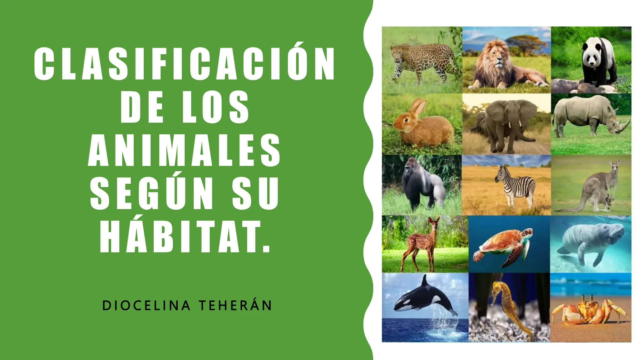 CLASIFICACIÓN DE LOS ANIMALES SEGÚN SU HÁBITAT1.1.pptx