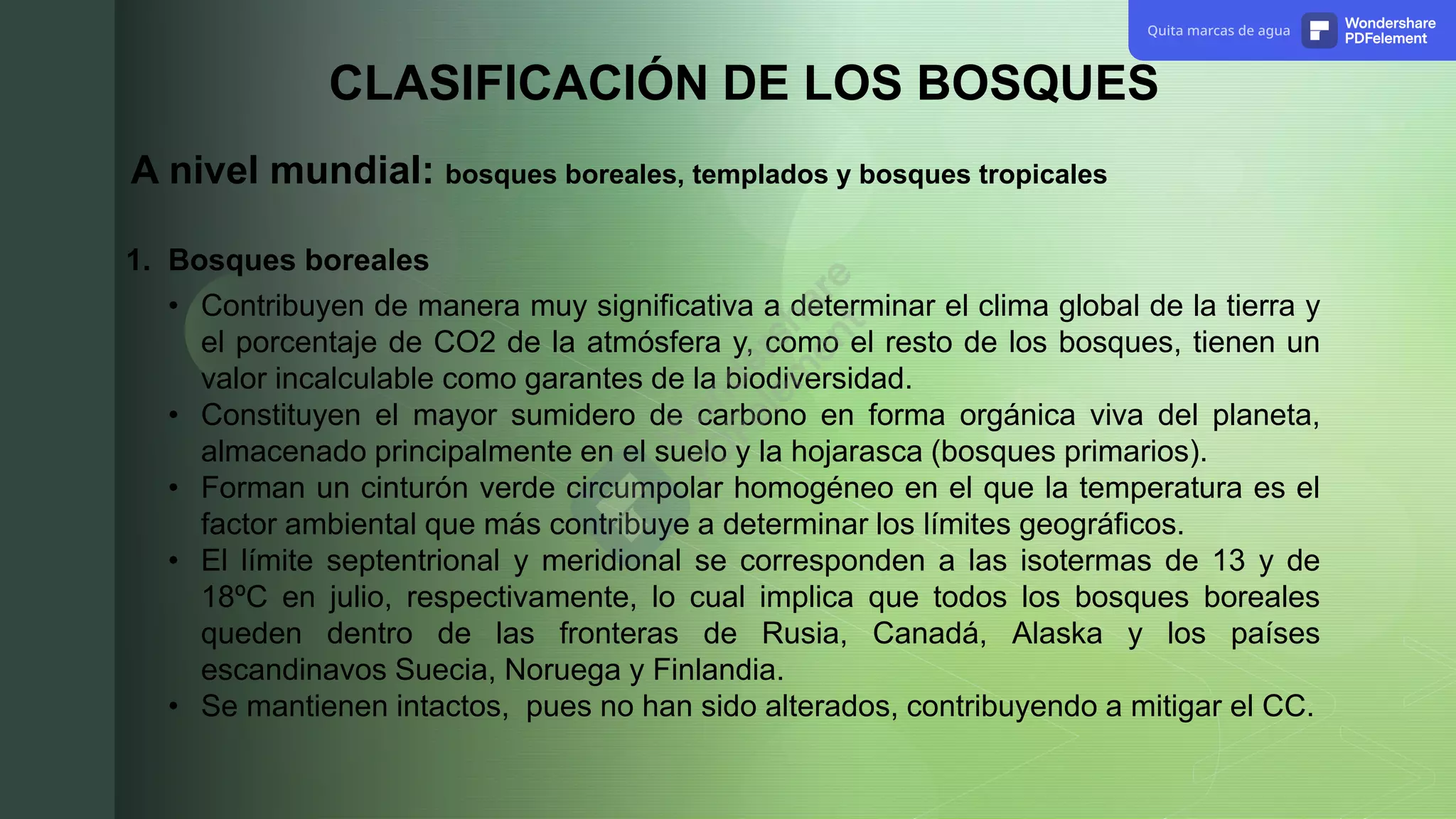 CLASIFICACIÓN DE LOS BOSQUES (S3).pdf