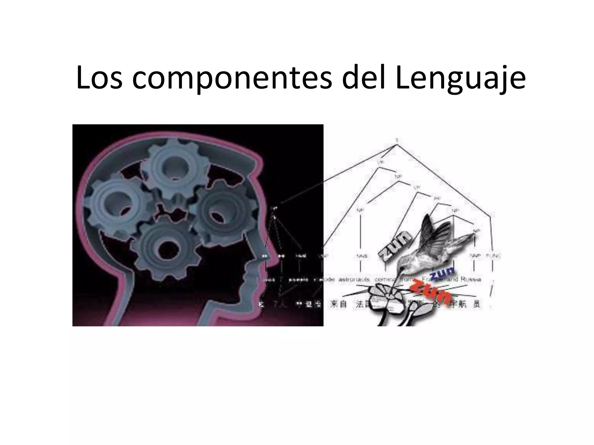 Clasificación de los componentes del lenguaje | PPTX