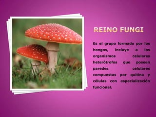 Clasificaciòn de los reinos | PPTX