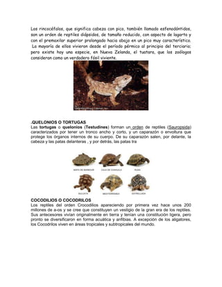 Clasificación de los seres vivos | DOCX