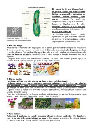 Clasificación de los seres vivos | DOCX