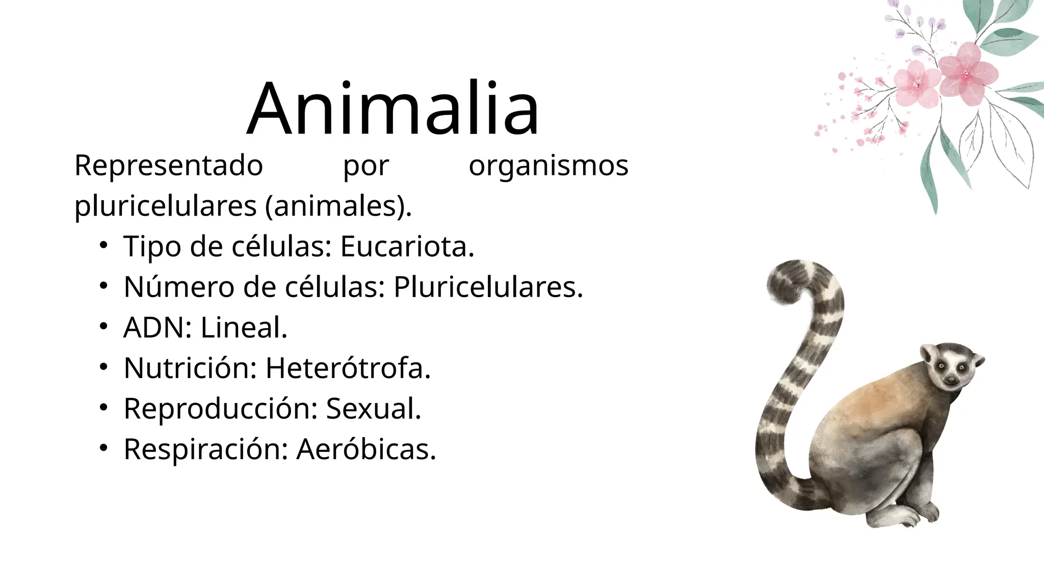 Clasificación de los seres vivos, las cinco reinos biología acuarela ...