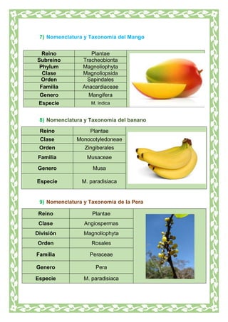 Clasificación de los seres vivos taxonomia | DOCX