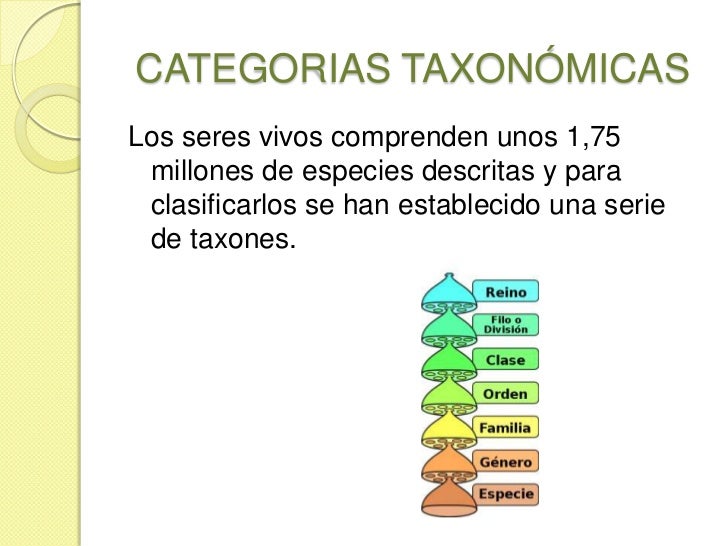 Clasificacin De Los Seres Vivos Taxonomia