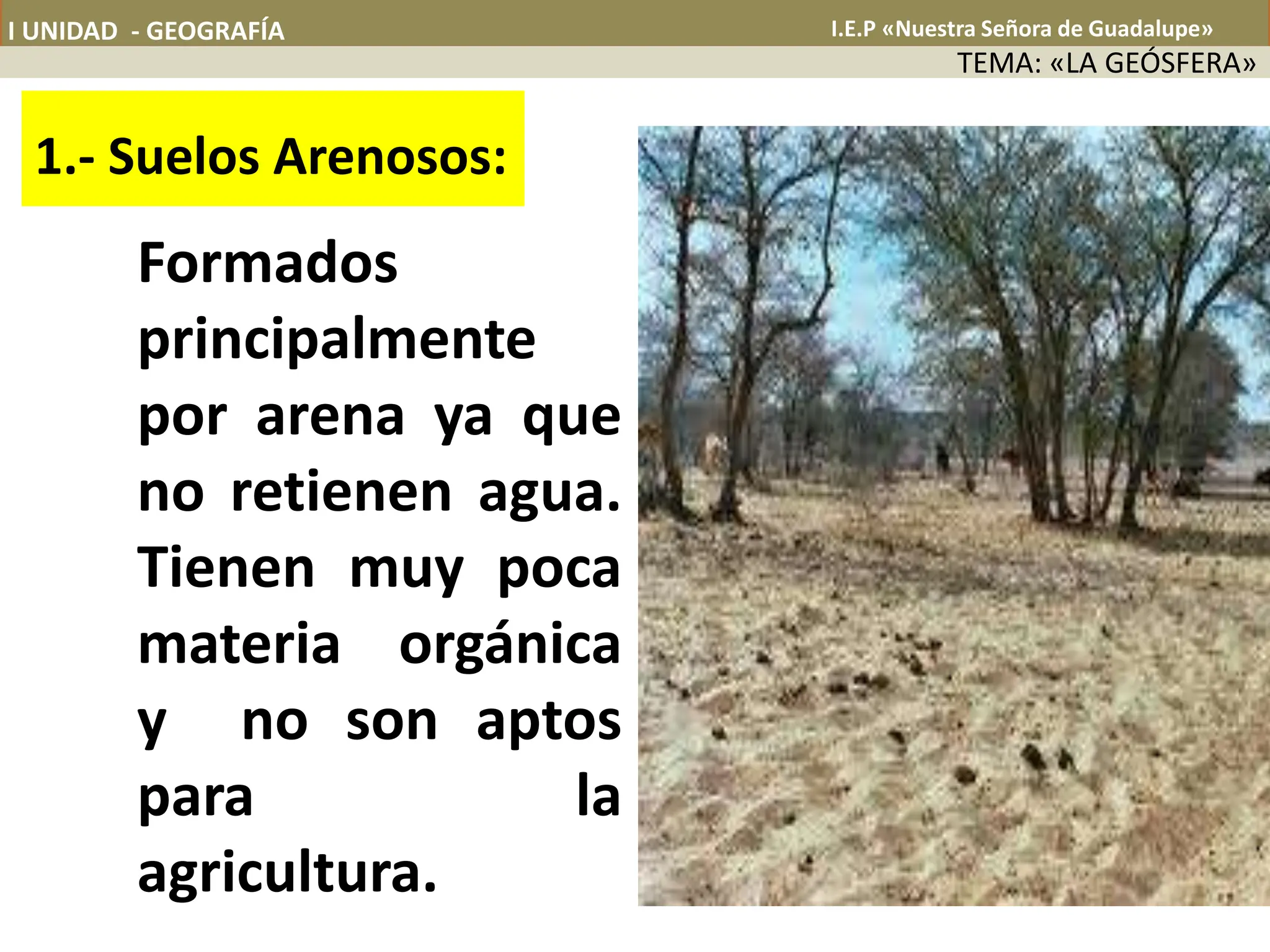 clasificación de los suelos para siembra | PPTX