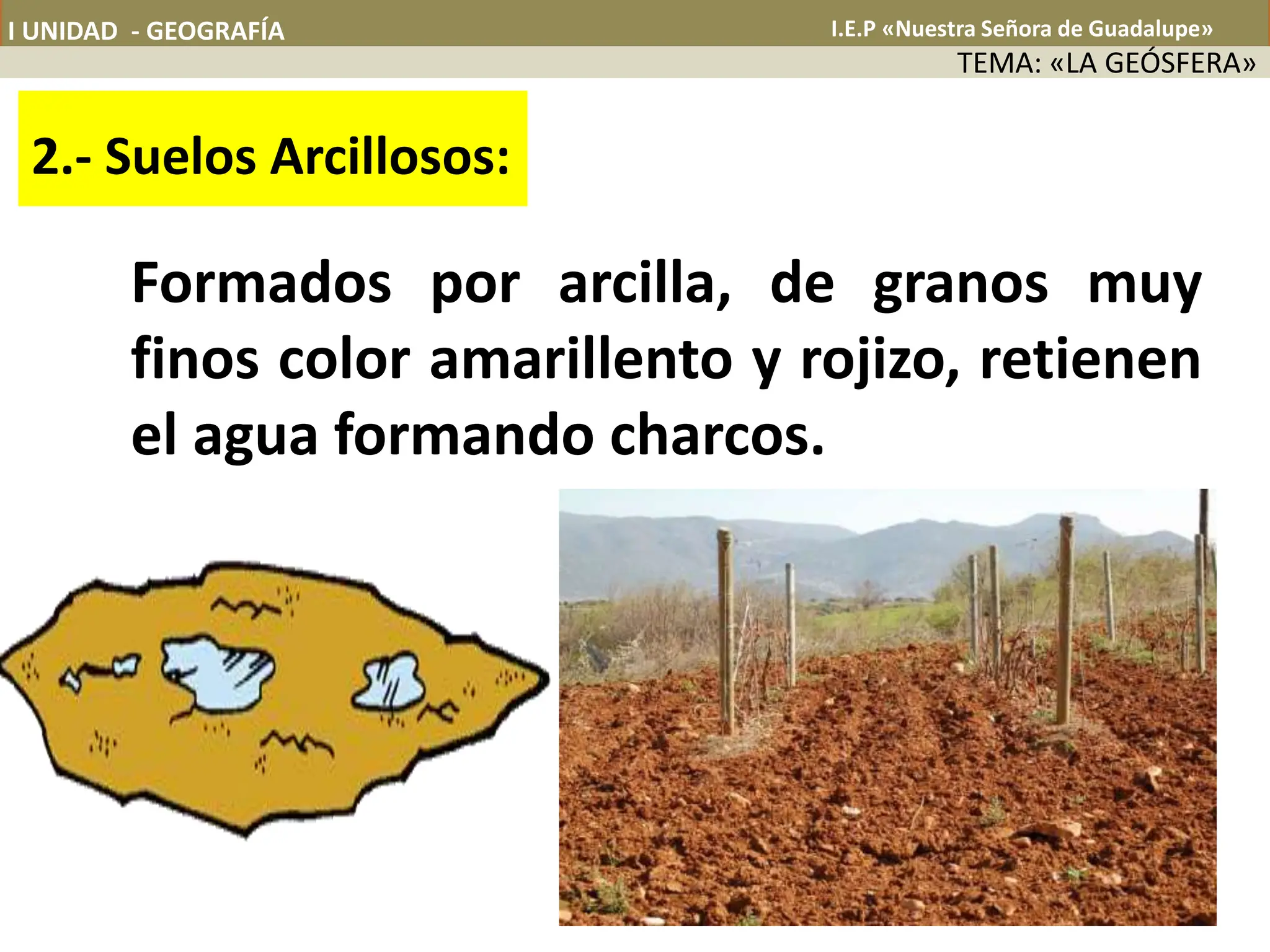 clasificación de los suelos para siembra | PPTX