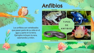 Clasificación de los animales vertebrados | PPTX