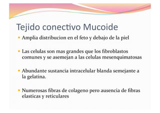 Clasificación del tejido conectivo | PDF