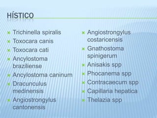 Clasificación de parásitos | PPTX