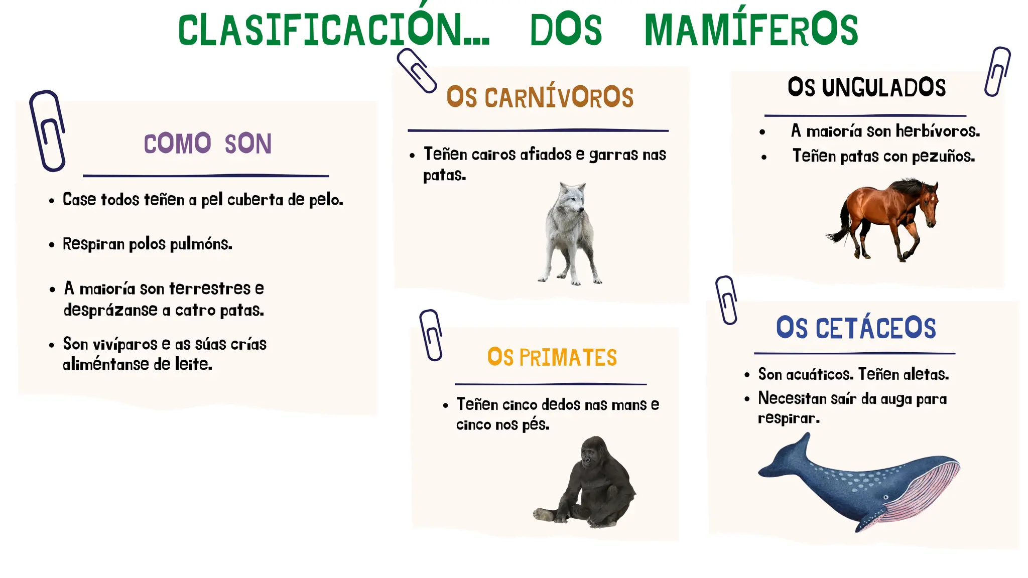 Clasificación dos animais vertebrados.pdf