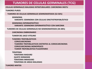 Clasificación histológica de tumores de células germinales | PPTX