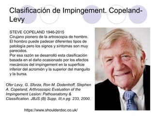 Sindrome de dolor Subacromial. Manguito Rotador. Tendinopatía | PPT