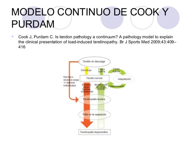 Sindrome de dolor Subacromial. Manguito Rotador. Tendinopatía