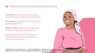 Clasificación inmunohistoquímica del cáncer de mama y su importancia en ...