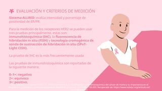 Clasificación inmunohistoquímica del cáncer de mama y su importancia en ...