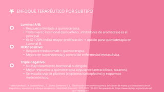 Clasificación inmunohistoquímica del cáncer de mama y su importancia en ...