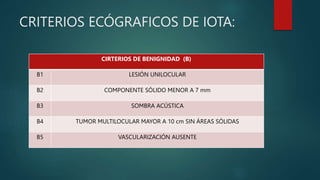 CLASIFICACIÓN IOTA.pptx